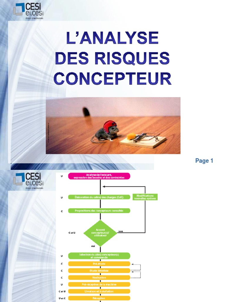 Analyse Des Risques | PDF | Risque | Application