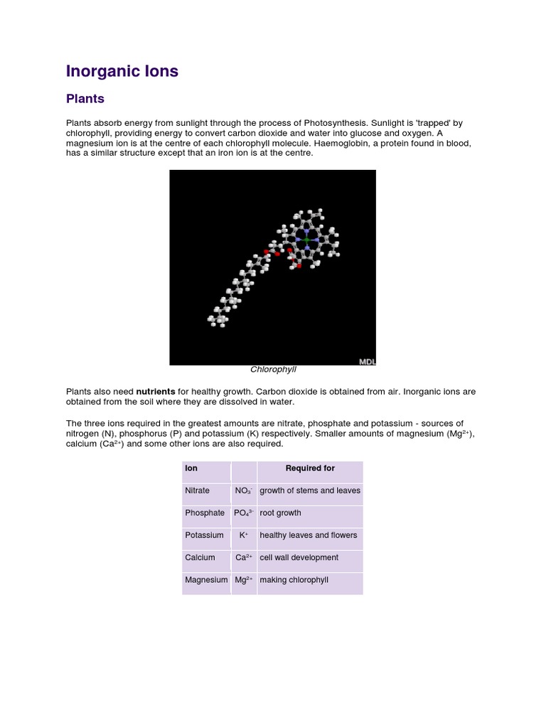 Inorganic Ions in Plants & Diets | PDF | Ion | Magnesium