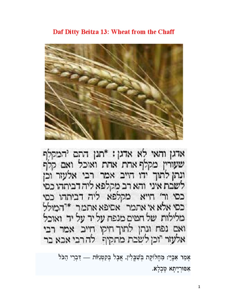 Beitzah 13 | PDF | Jewish Law | Torah