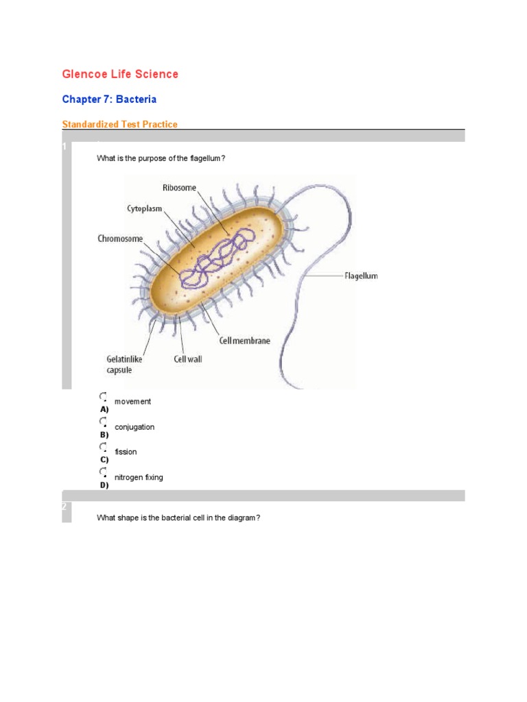 Glencoe Life Science2 | PDF | Bacteria | Plant Stem