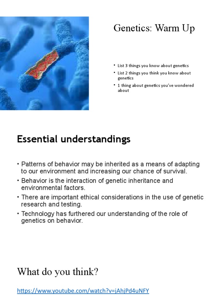 Genetics: Warm Up | PDF | Heritability | Twin