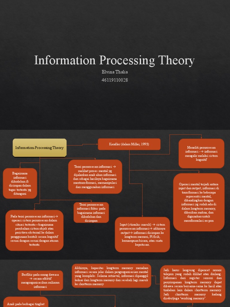 Information Processing Theory | PDF