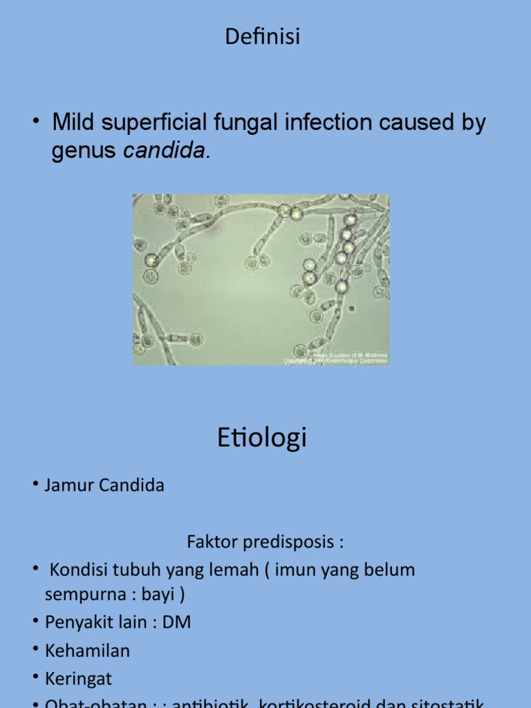 Definisi: - Mild Superficial Fungal Infection Caused by Genus Candida | PDF