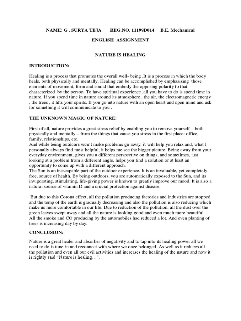 English Assignment | PDF | Nature | Pollution