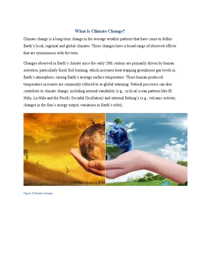 Cause and Effect of Climate Change | PDF | Climate Change | Storms