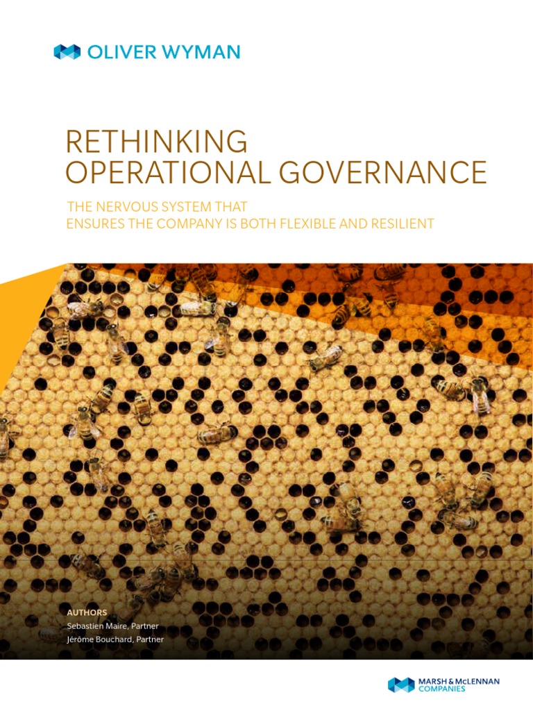 Rethinking Operational Governance | PDF | Governance | System
