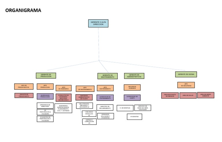 Organizational Structure of a Mining Company | PDF | Ingeniería