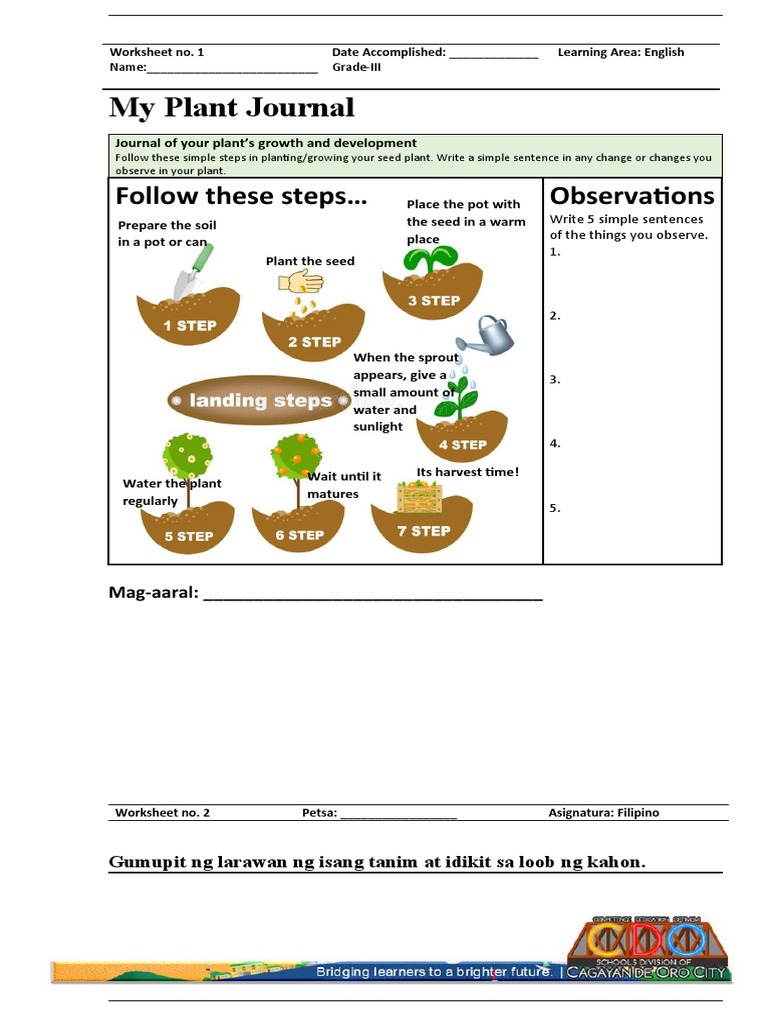 A Collection of Student Worksheets Documenting the Growth of a ...
