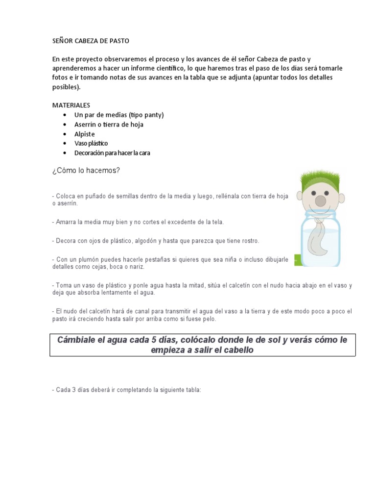 SEÑOR Cabeza de Pasto | PDF | Hogar, jardinería y bricolaje