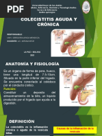 Anatomía del triángulo de Calot y Buddé | PDF | Vesícula biliar | Hígado