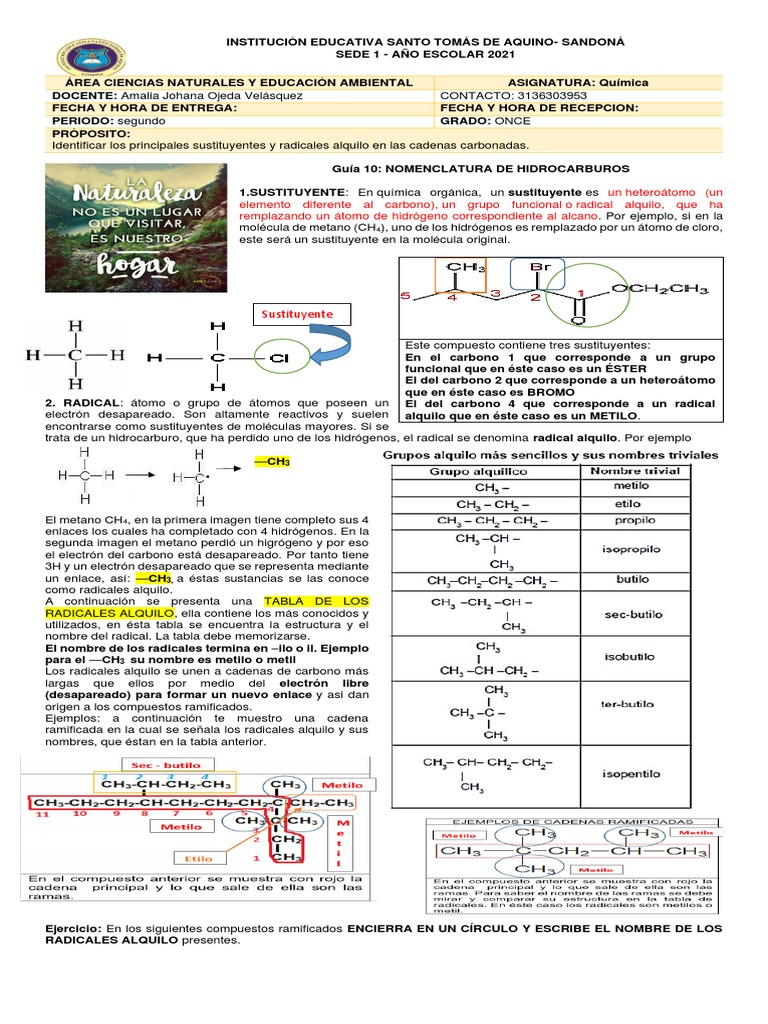 Guía10 Radicales | PDF | Alqueno | Radical (Química)