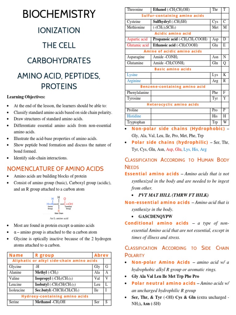 Biochemistry Notes Proteins | PDF | Amino Acid | Proteins