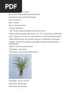 Uji Duncan Multiple Range Test (DMRT) PDF | PDF