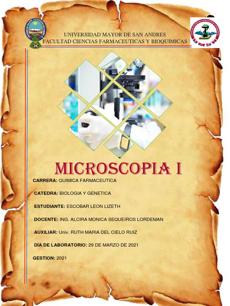 Inf.3 Lizeth Escobar Leon | PDF | Lente de la cámara | Microscopio