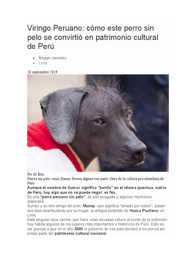 Viringo Peruano | PDF | Perú