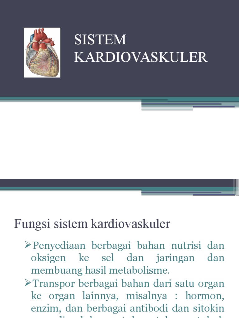 Sistem Kardiovaskuler | PDF