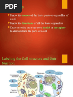 Cell City Worksheet Answer Key | PDF | Cell (Biology) | Cytoplasm