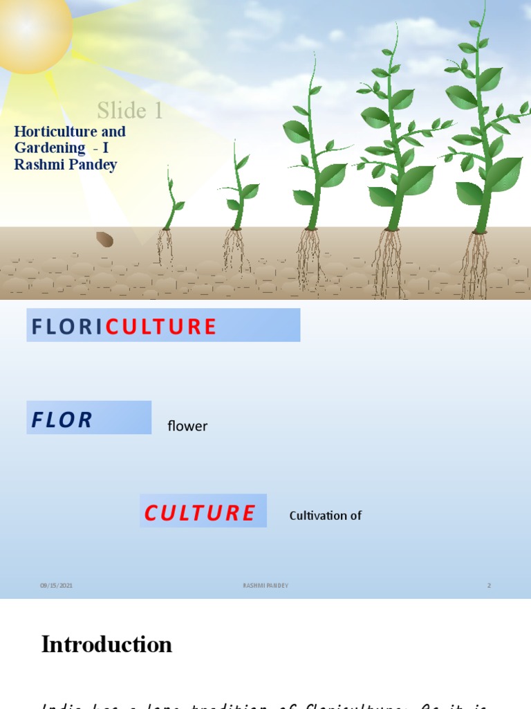 Slide 1: Horticulture and Gardening - I Rashmi Pandey | PDF | Plants ...