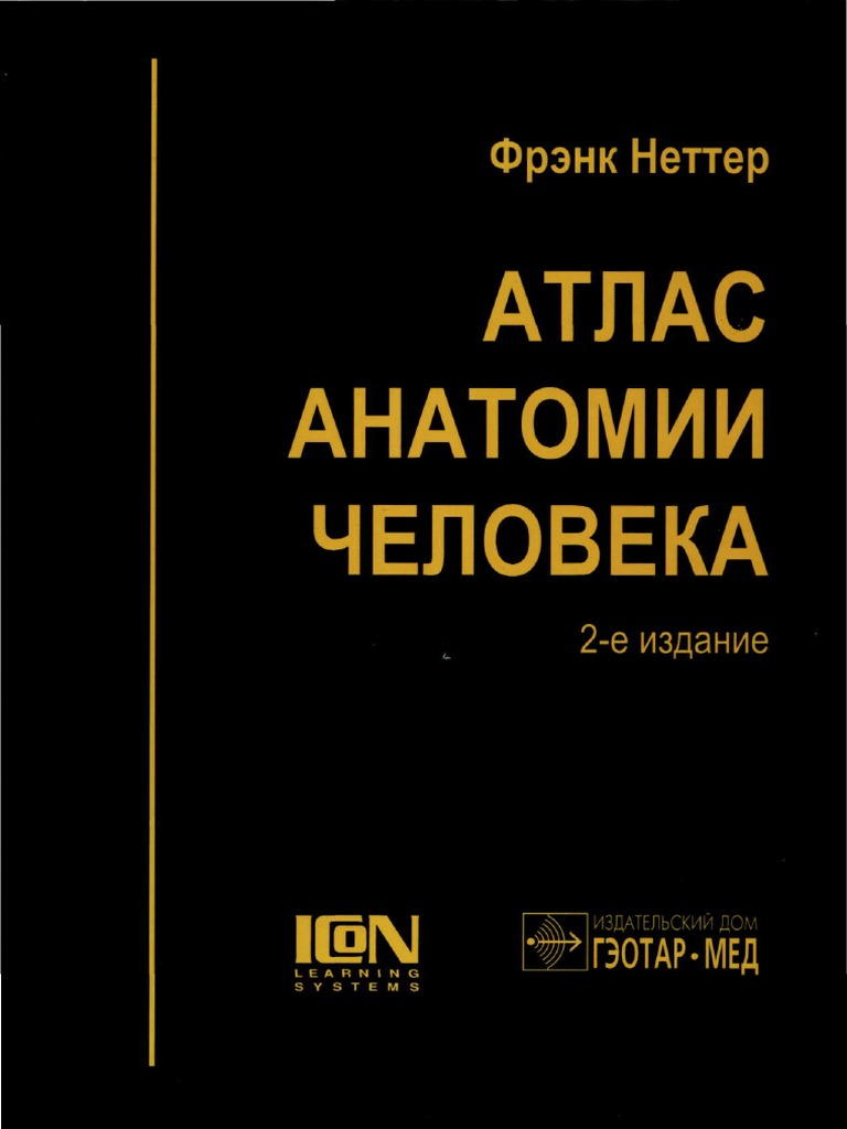 Netter Atlas | PDF