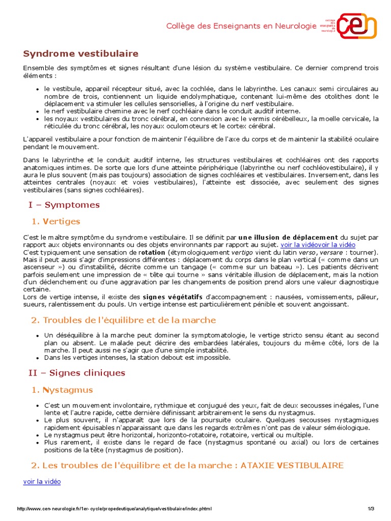 Syndromes vestibulaires : définitions et symptômes | PDF | vertige ...