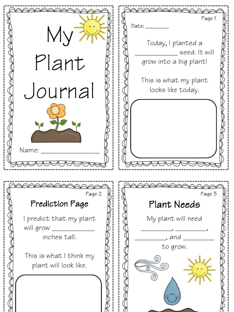 Plant Growth Journal for Kids | PDF