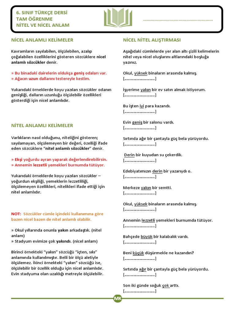 6 Tam Öğrenme Nitel Ve Nicel Anlam | PDF