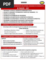 8 Pasos Del Sci | PDF