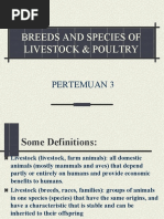 Bovine Breed Codes List | PDF | Livestock | Mammal Breeds
