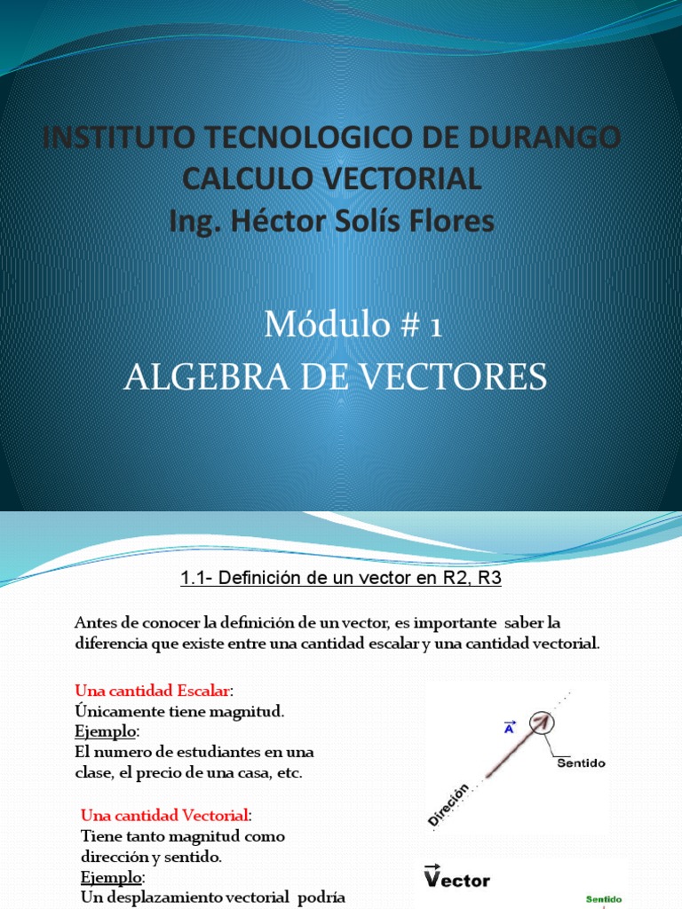 Calculo Vectorial M12021 | PDF | Vector Euclidiano | Espacio vectorial