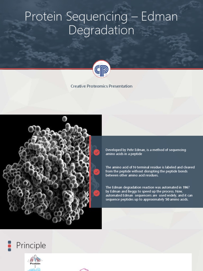 Protein Sequencing - Edman Degradation: Creative Proteomics ...