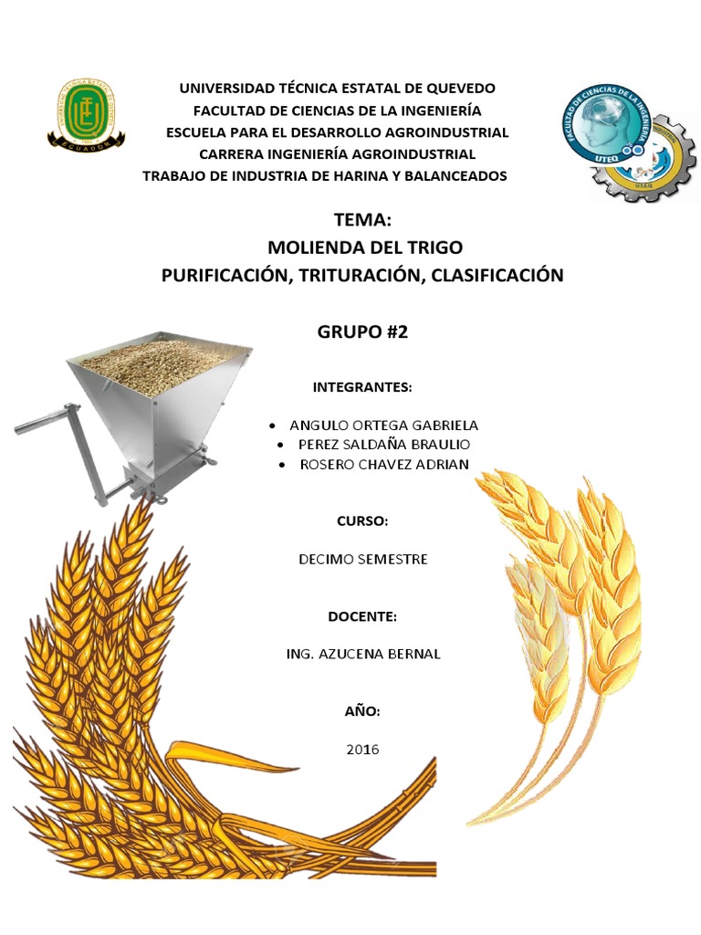 Molienda de Trigo: Proceso y Purificación | PDF | Trigo | Panes