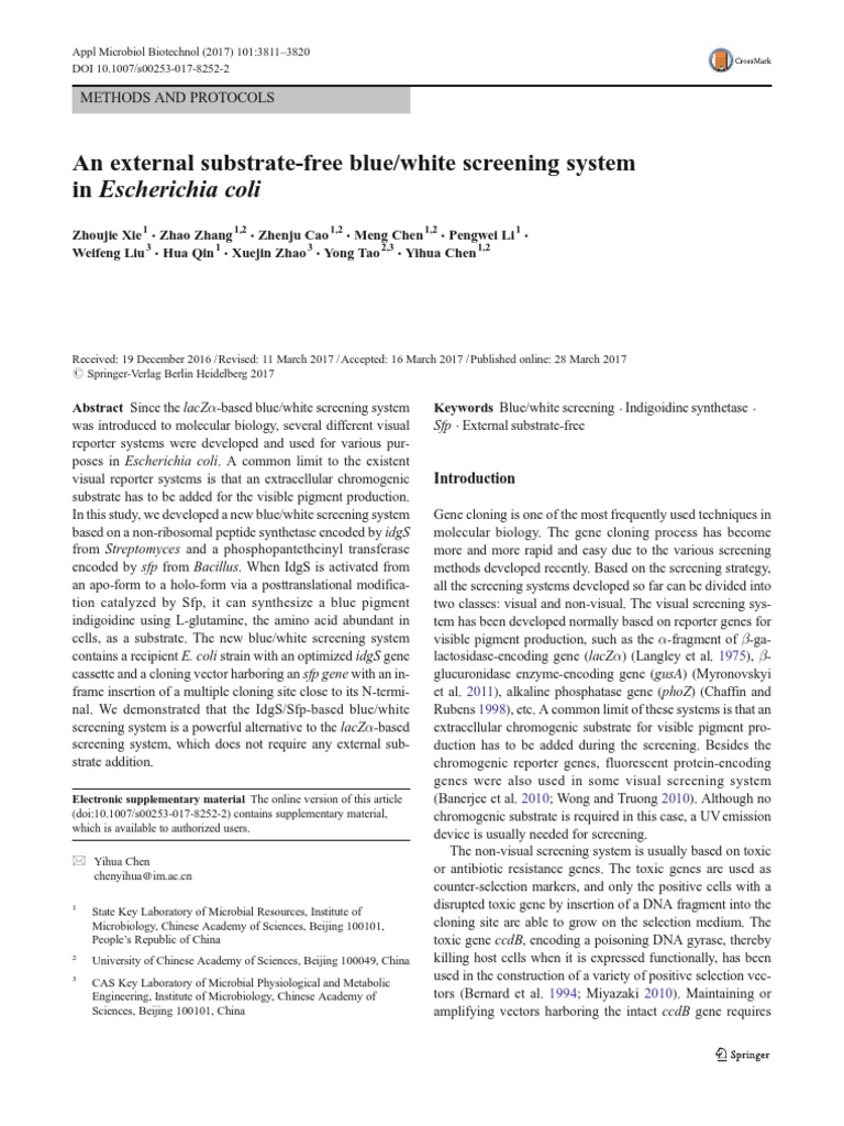 Bluewhite Screening | PDF | Molecular Cloning | Primer (Molecular Biology)