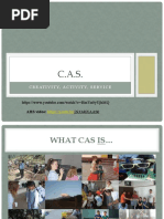 The Outsiders Scavenger Hunt | PDF | History