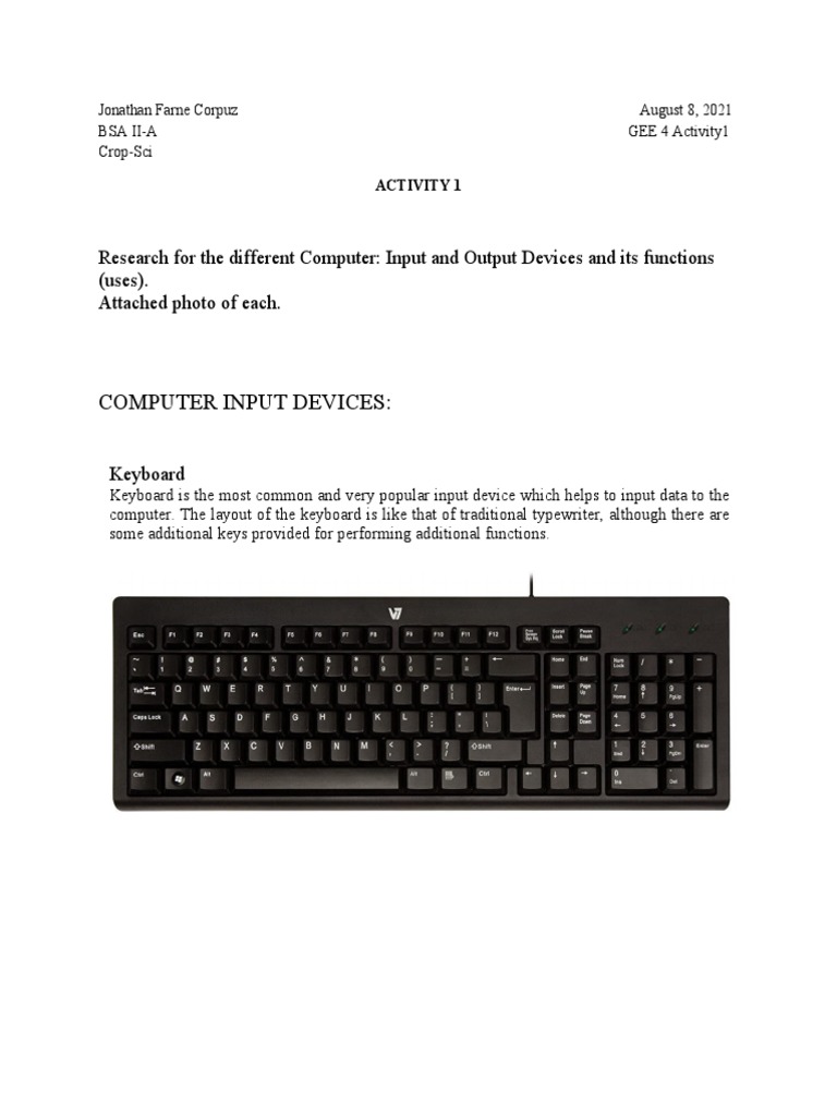 Input and Output Devices | PDF | Input/Output | Computer Data Storage