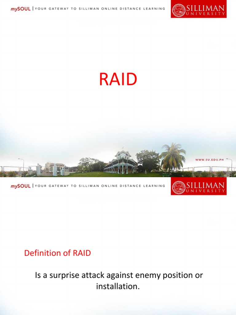 Raid | Download Free PDF | Reconnaissance | National Security