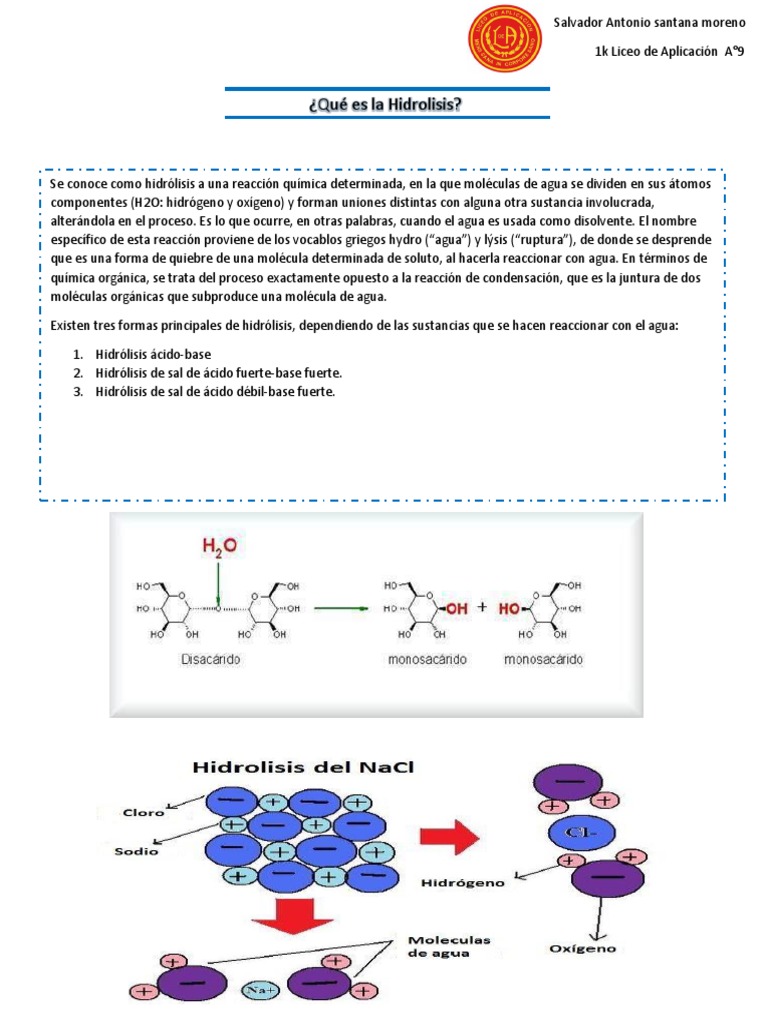 Qué Es La Hidrolisis | PDF
