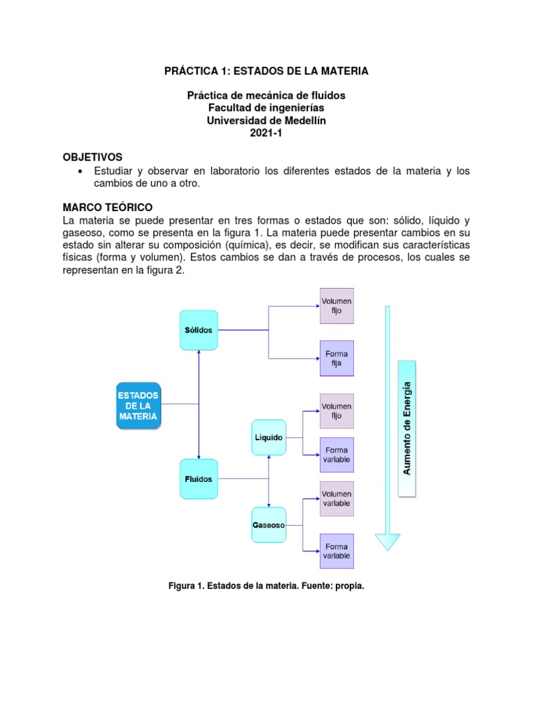 Práctica sobre Estados de la Materia | PDF | Agua | Importar