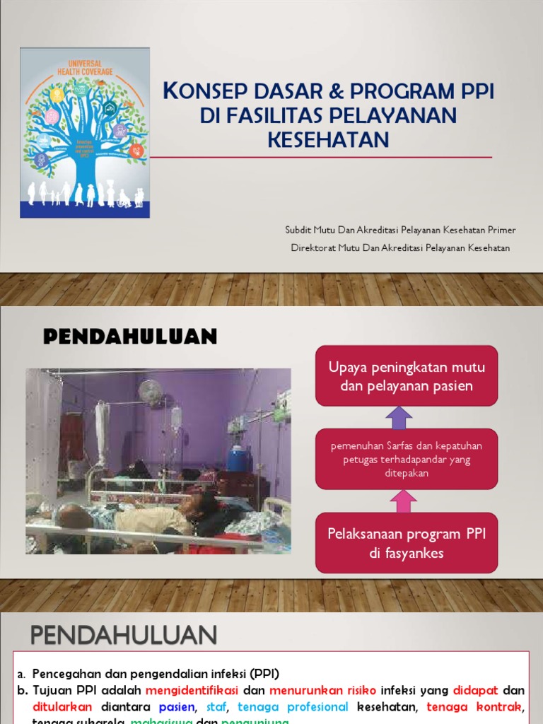 Panduan PPI di Fasilitas Kesehatan | PDF | Pengembangan Diri | Sains ...
