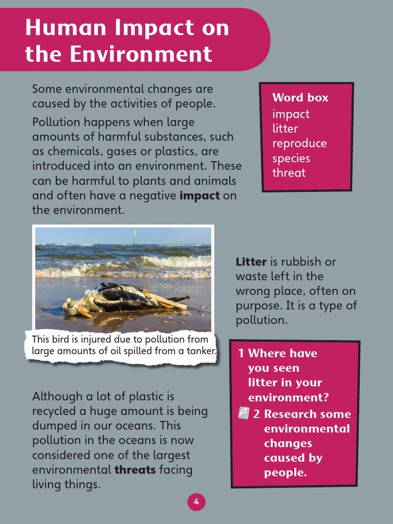 Human Impact On The Environment | PDF | Natural Environment | Pollution