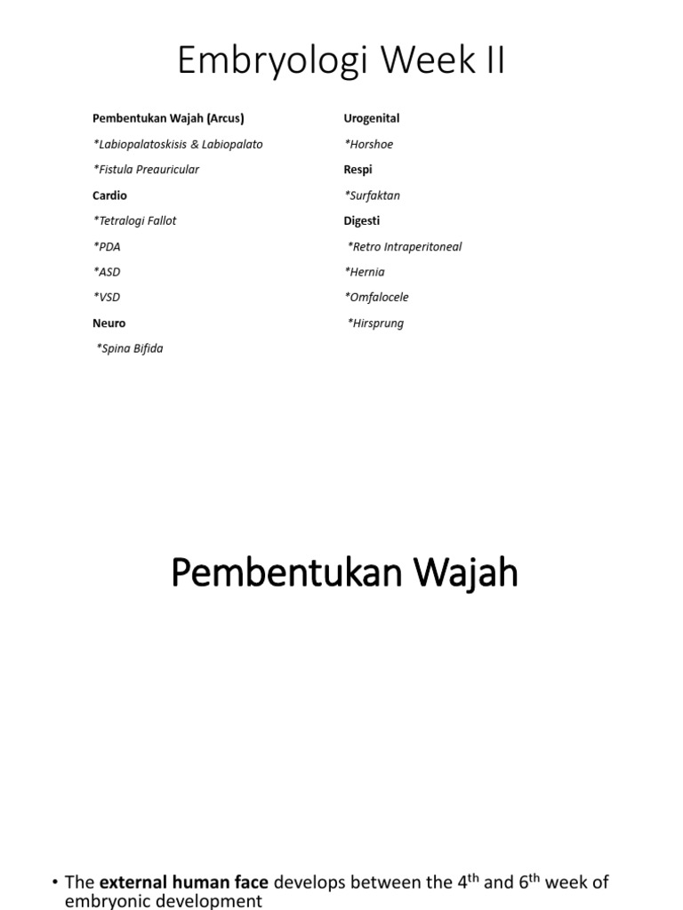 Embryology Organogenesis | PDF | Atrium (Heart) | Lung