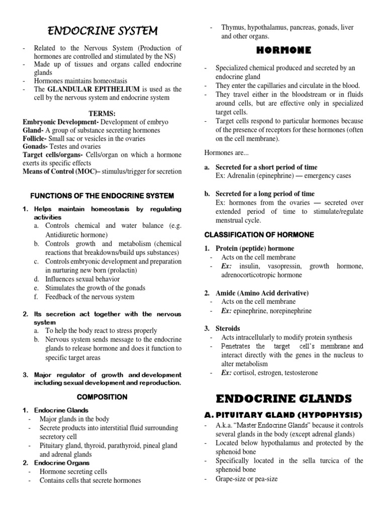 Endocrine System Notes | PDF | Endocrine System | Luteinizing Hormone