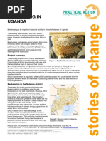 Bee Keeping Proposal | PDF | Beekeeping | Beehive