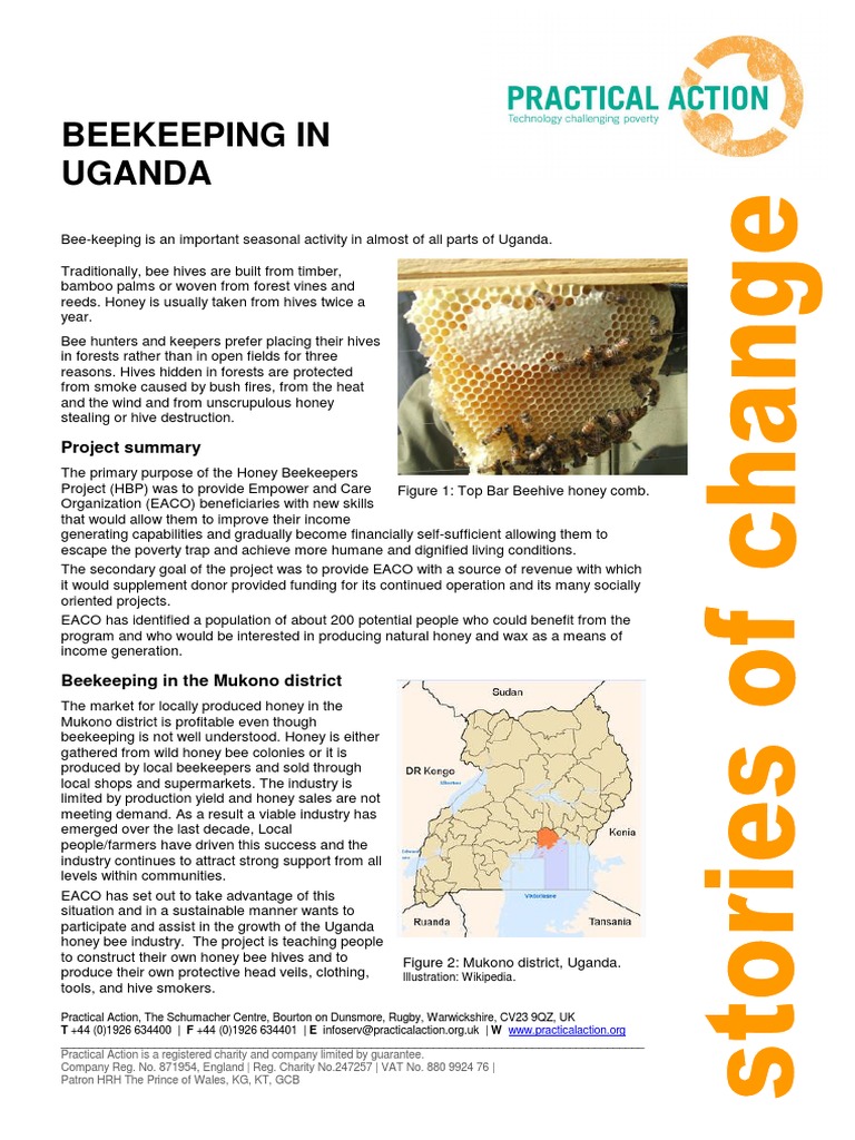 Beekeeping and Hive Types in Uganda | PDF | Beehive | Beekeeper