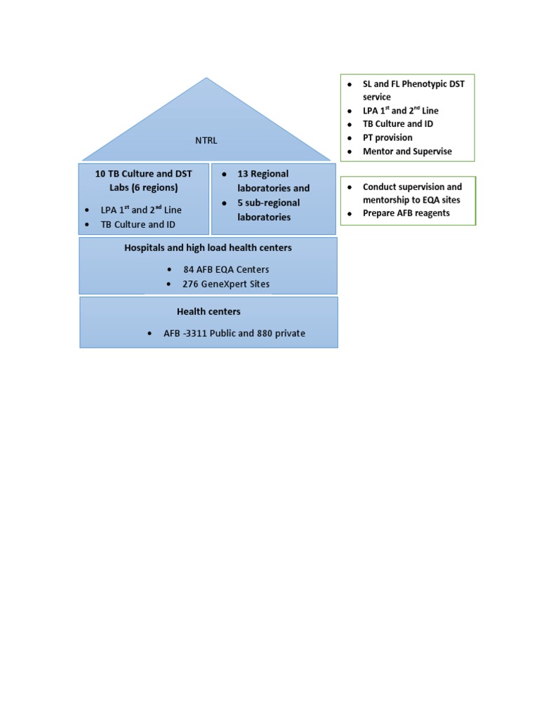 TB Lab Network Ethiopia | PDF
