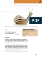 Anatomy of Snails | PDF | Mollusca | Molluscs