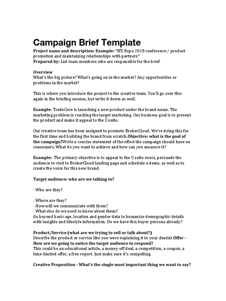 Campaign Brief Template | PDF | Target Audience | Brand