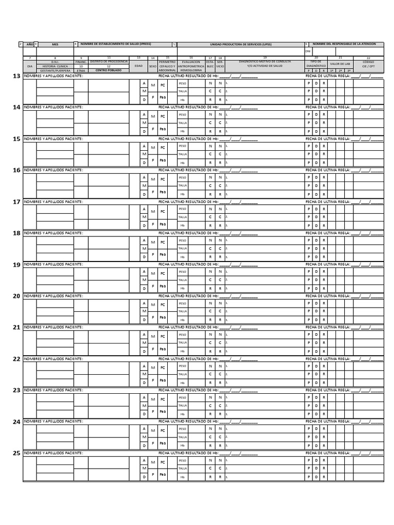 Formato HIS 2020 - Lado B | PDF | Ciencias de la Salud | Medicina