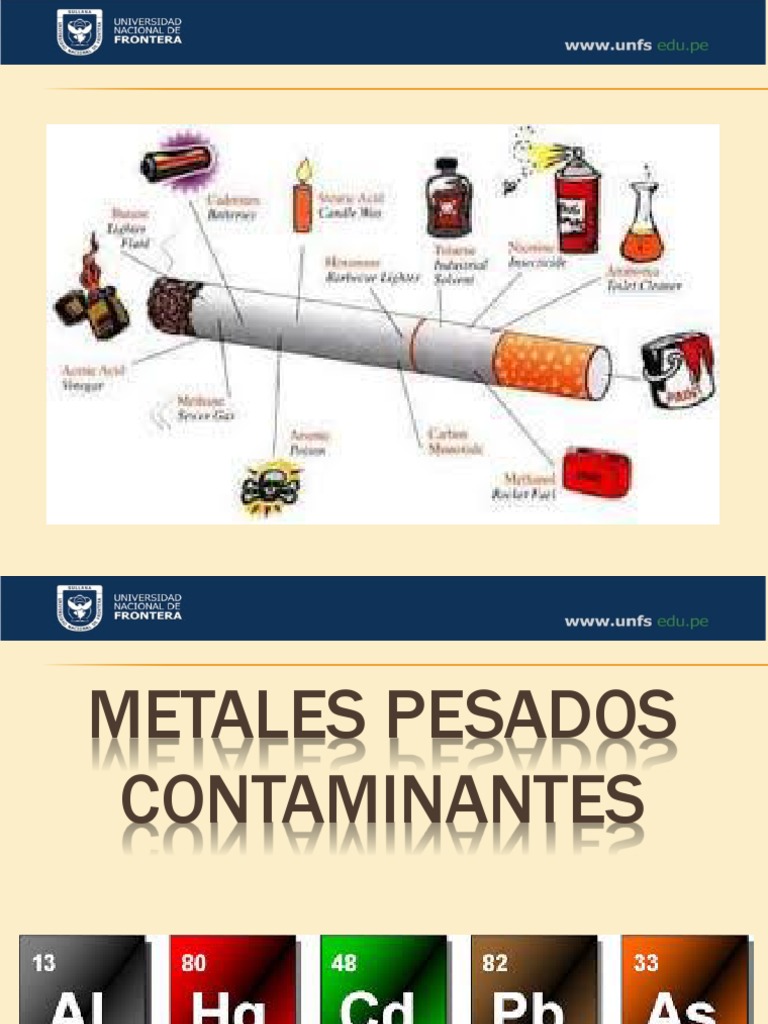 Los efectos tóxicos del plomo y otros metales pesados en la salud ...