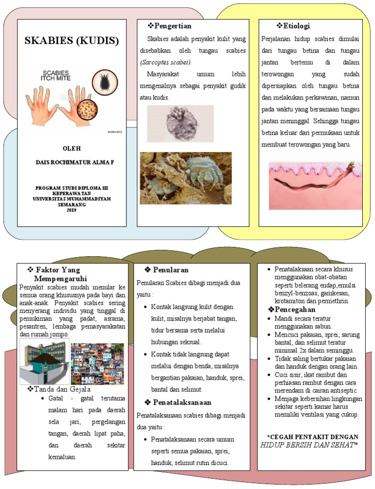 Leaflet Pendkes Scabies | PDF