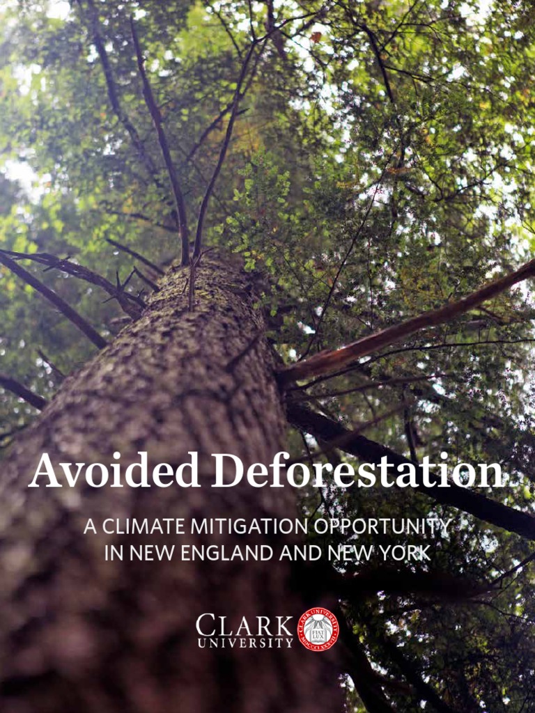 Avoided Deforestation: A CLIMATE MITIGATION OPPORTUNITY IN NEW ENGLAND ...